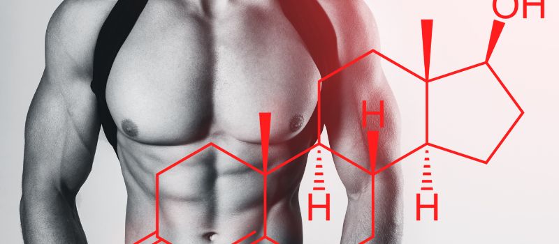 Can Creatine Increase Testosterone Great Green Wall